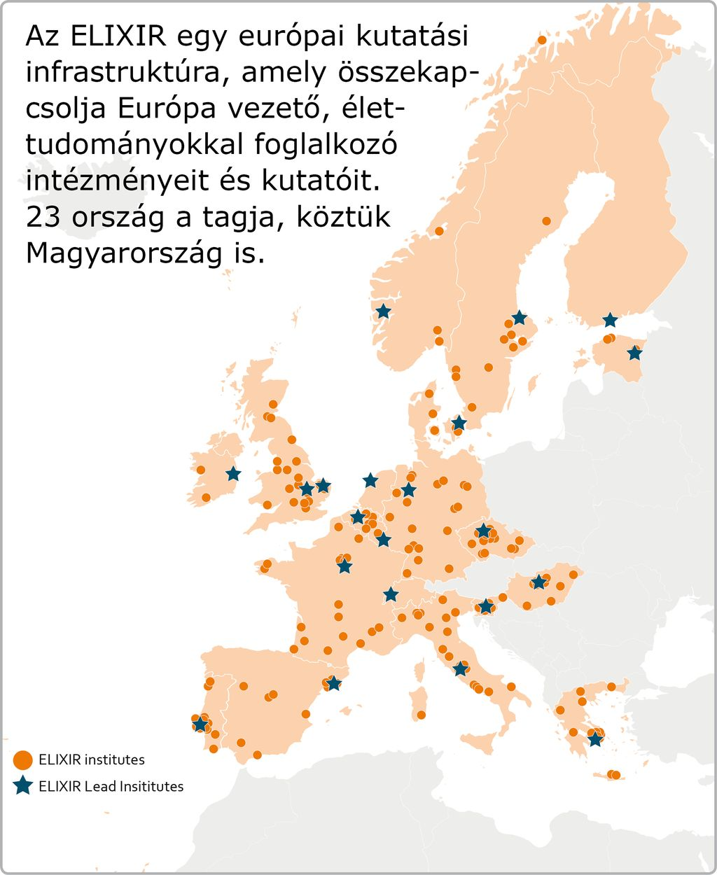 Az ELIXIR Magyarország szervezete | Bioinformatics
